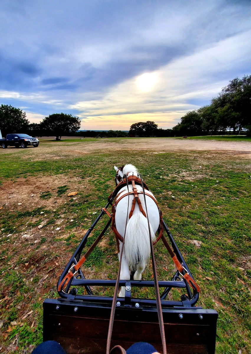 Help Save the Parrie Haynes Ranch! 🐴 – TheCre8iveChick
